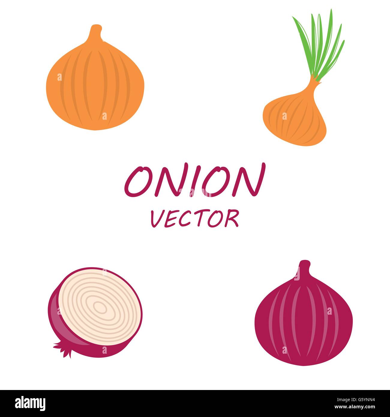 Green onions on white Stock Vector Images - Alamy