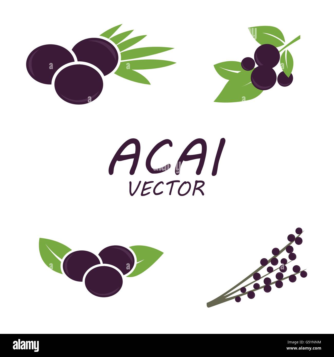 Acai berry illustration Cut Out Stock Images & Pictures - Alamy