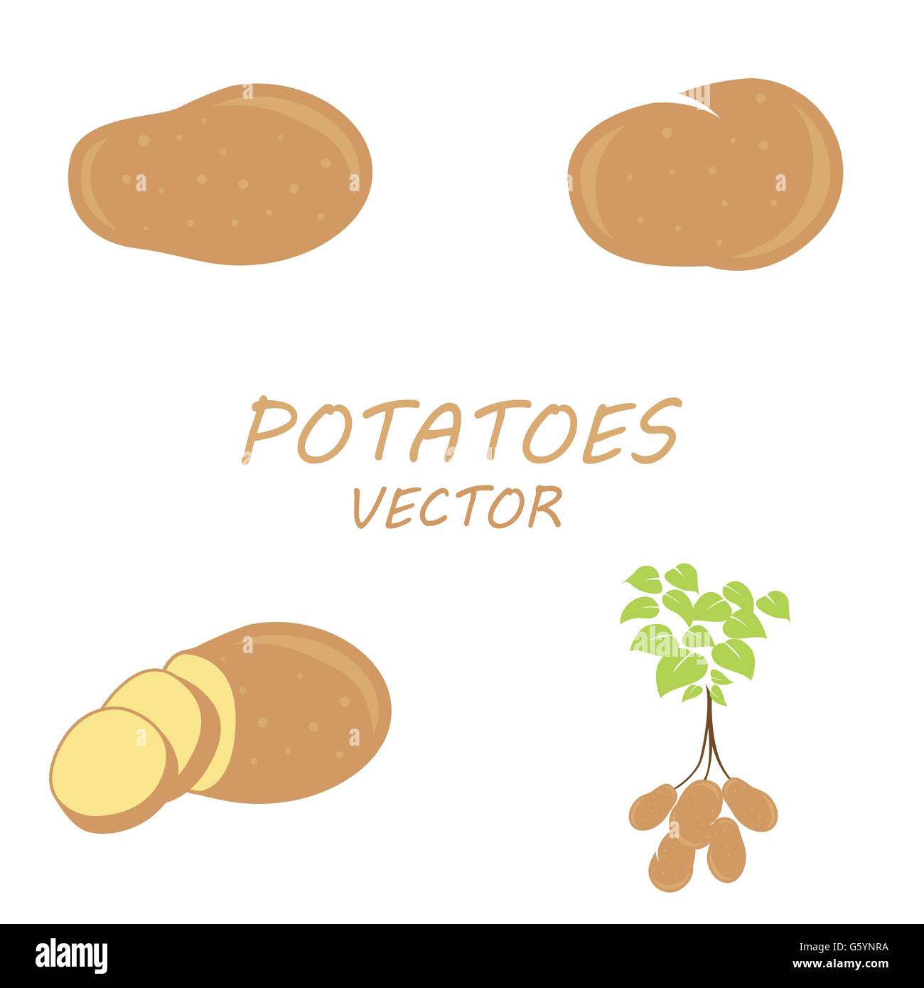 Vector Potatoes icons set Stock Vector Image & Art - Alamy