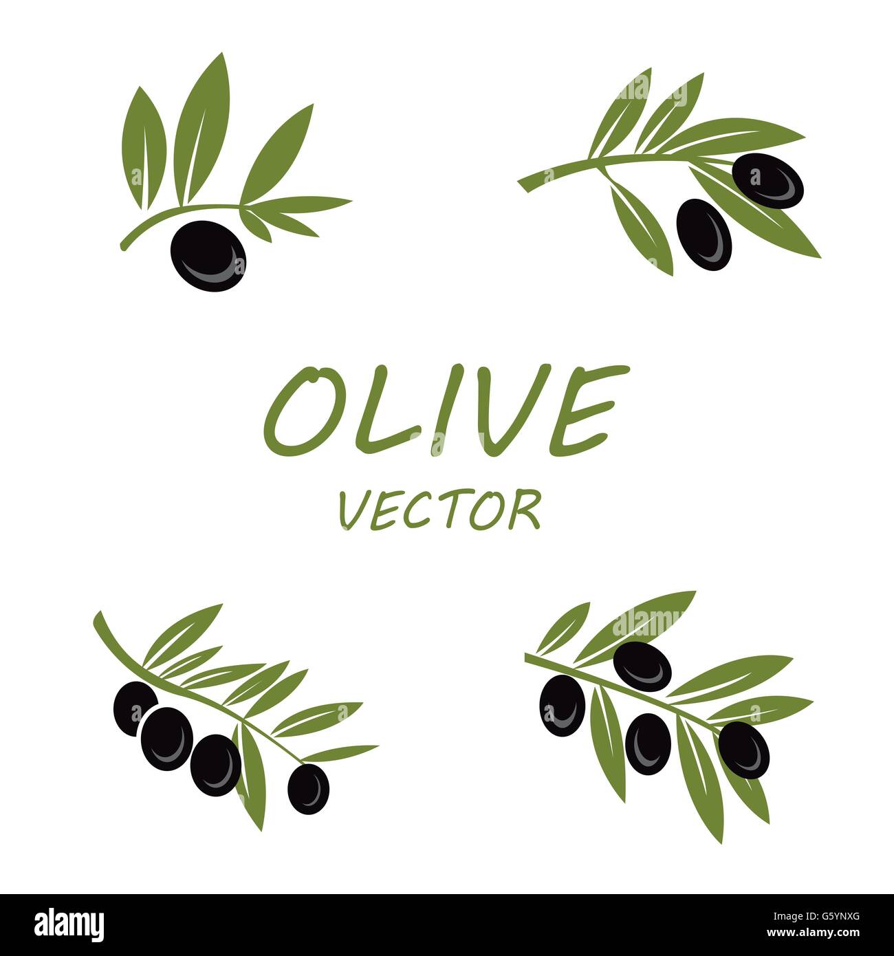 Vector Olive icons set Stock Vector Image & Art - Alamy