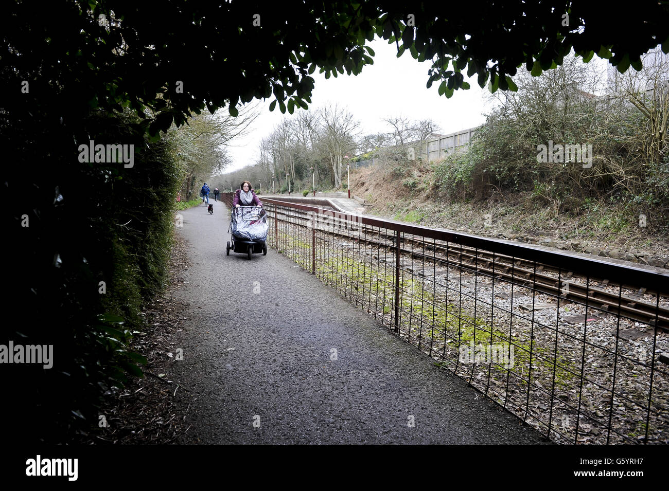 50th anniversary of Beeching report Stock Photo - Alamy
