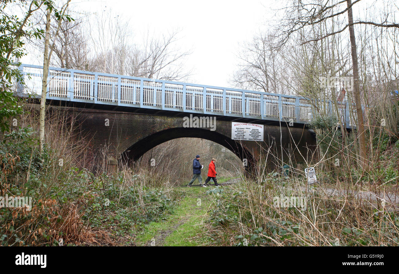 50th anniversary of Beeching report Stock Photo - Alamy