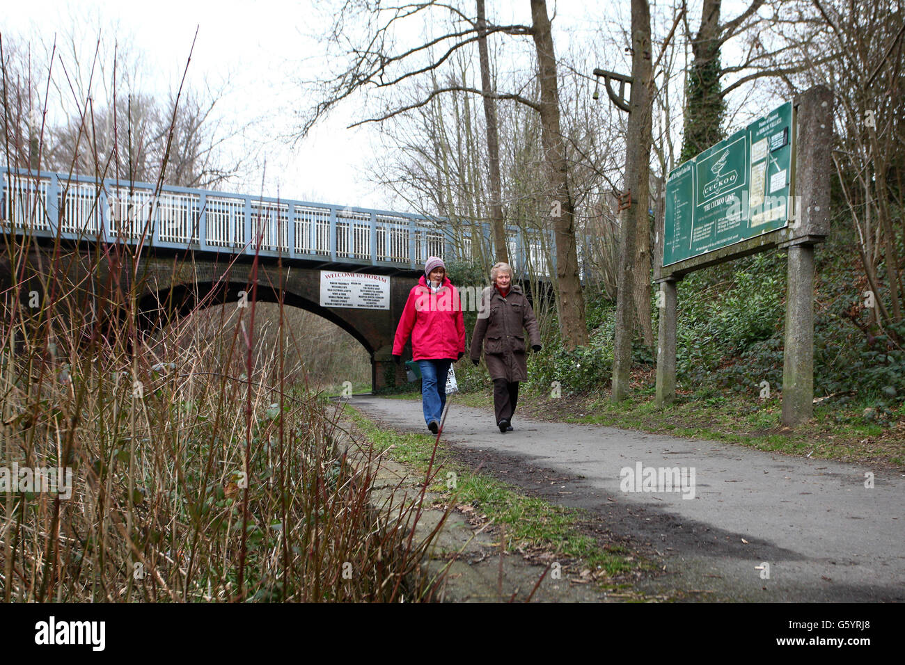 50th anniversary of Beeching report Stock Photo - Alamy