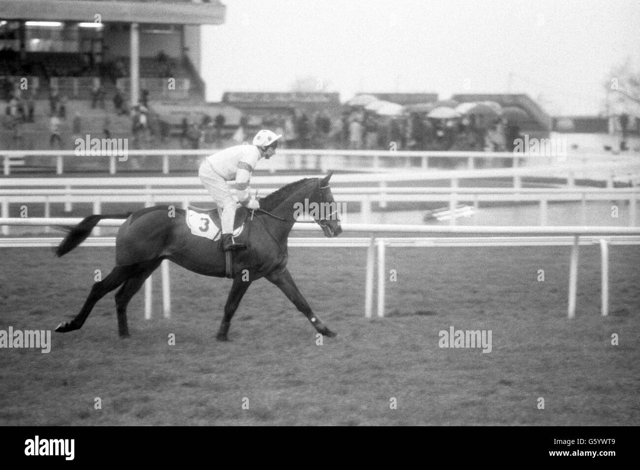 Horse Racing - Colin Hawkins on Water Cannon Stock Photo - Alamy