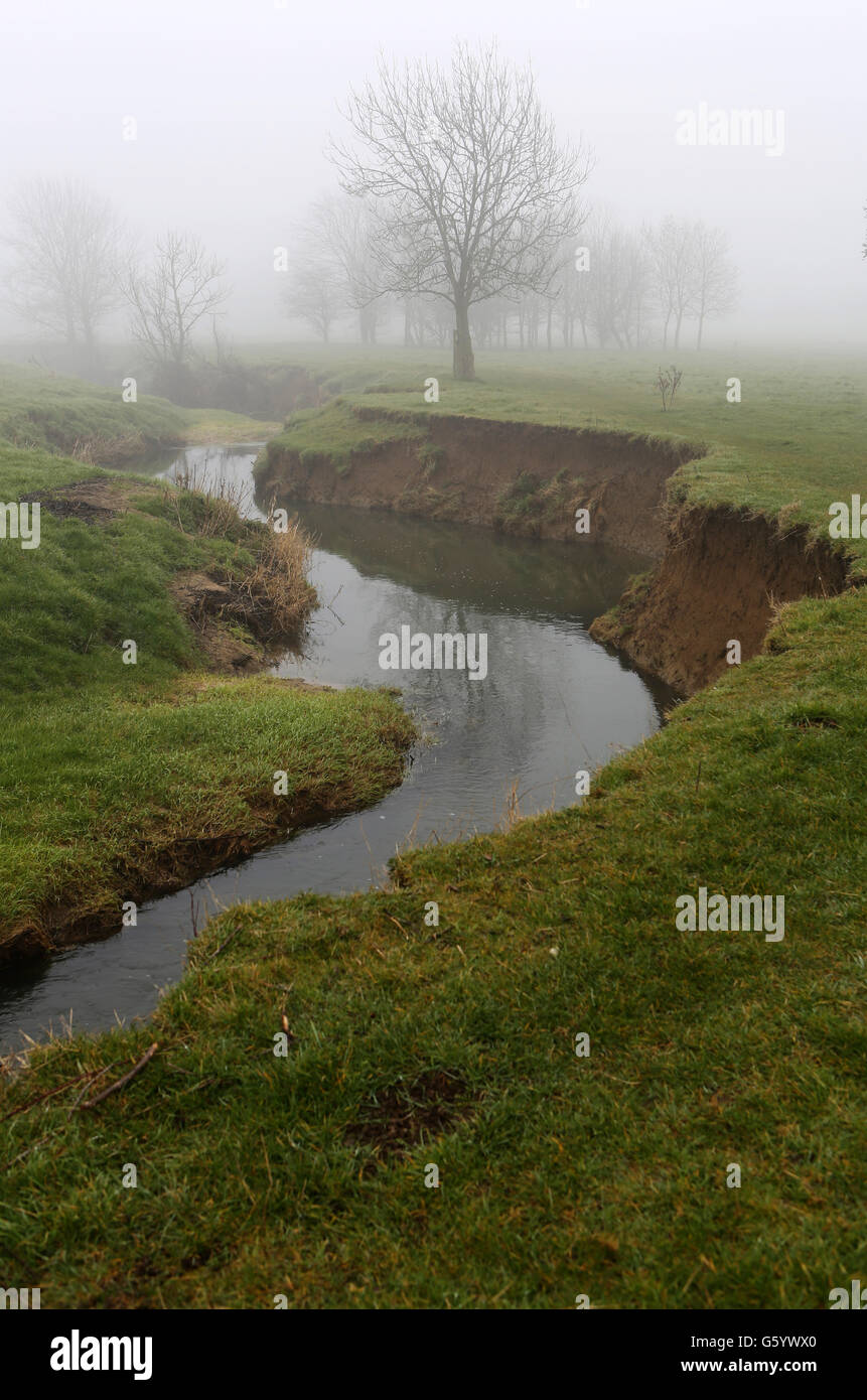Fog shrouds trees alongside bourne brook hi-res stock photography and ...
