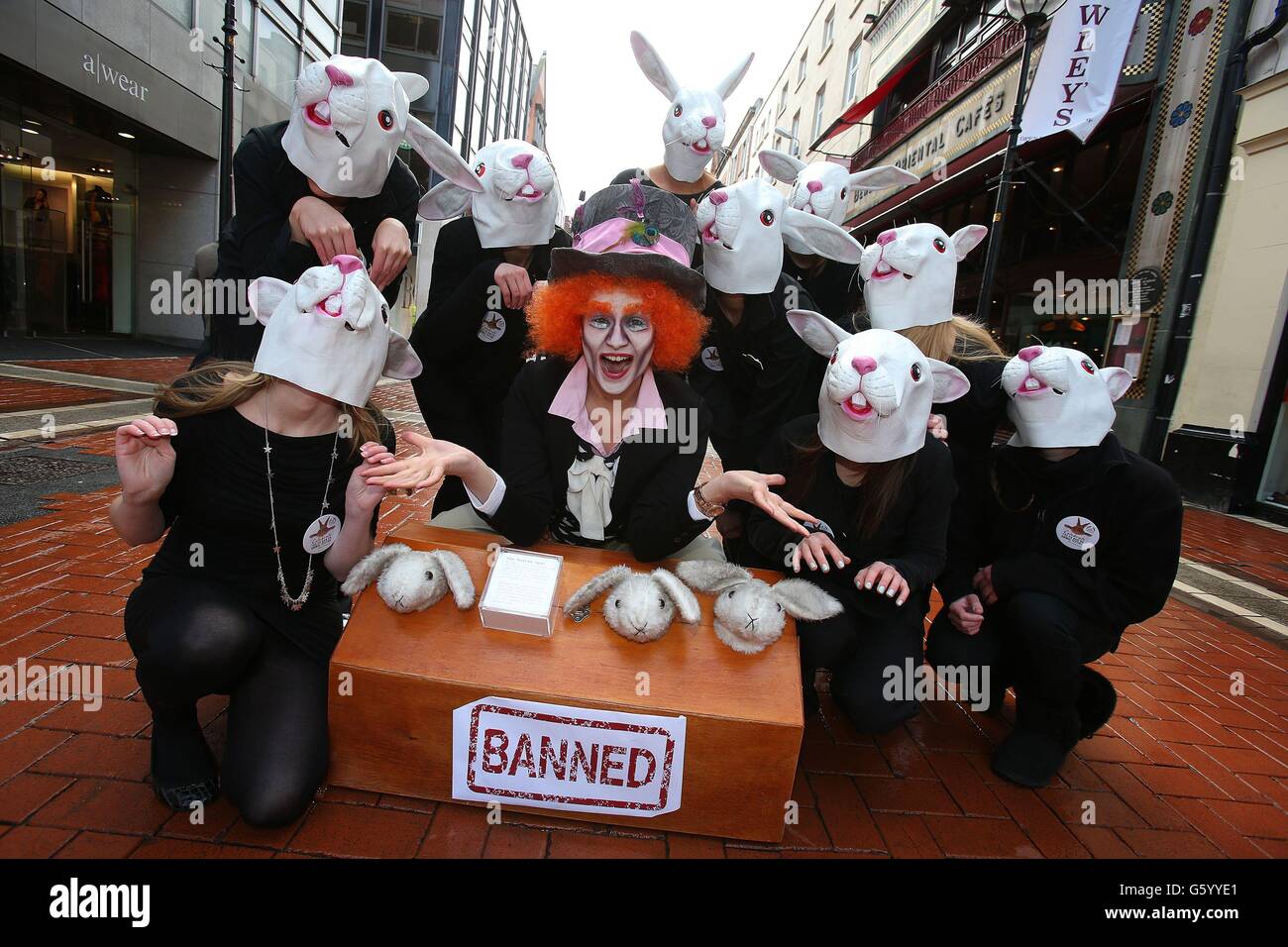 Animal testing rabbits hi-res stock photography and images - Alamy