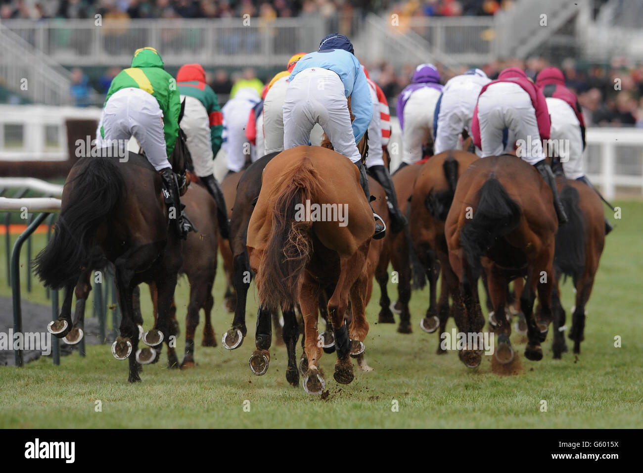 Runner and riders in the John Oaksey National Hunt Chase during Ladies ...