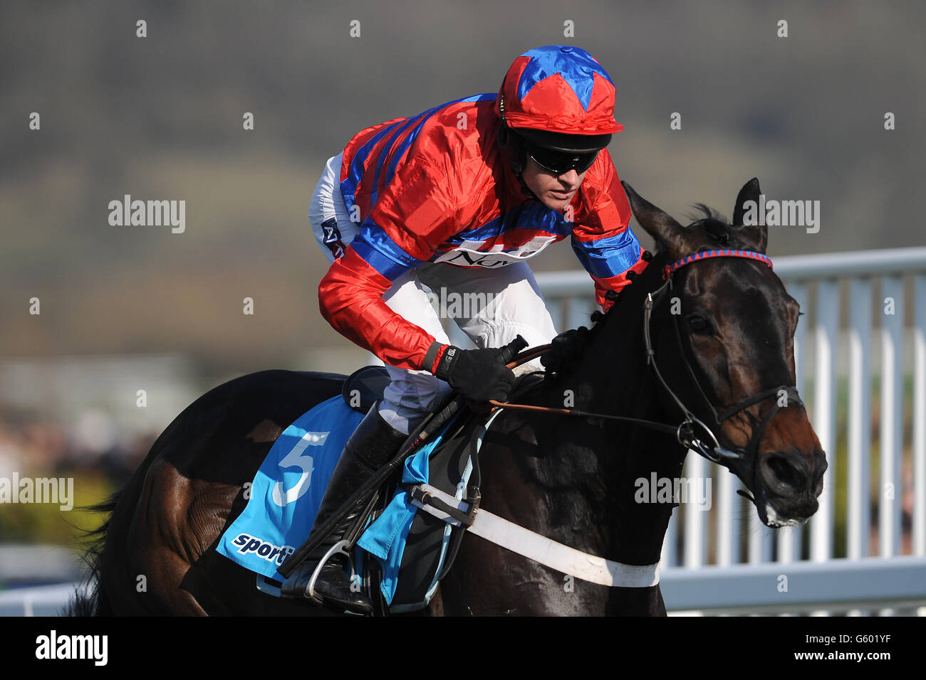 Barry Geraghty on Sprinter Sacre wins the Sportingbet Queen Mother ...