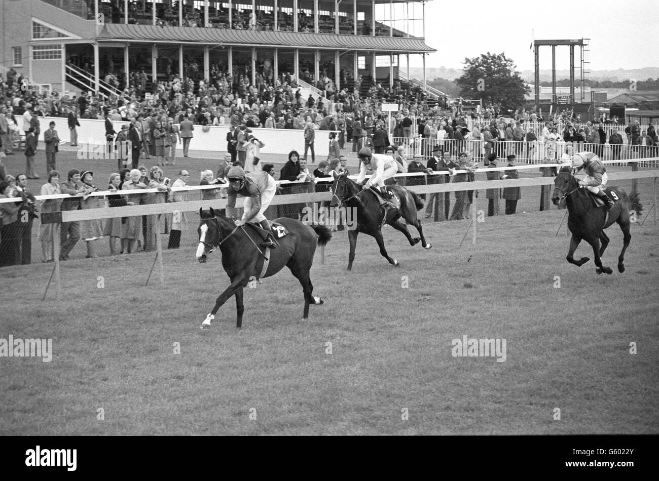 Jungle stadium Black and White Stock Photos & Images - Alamy