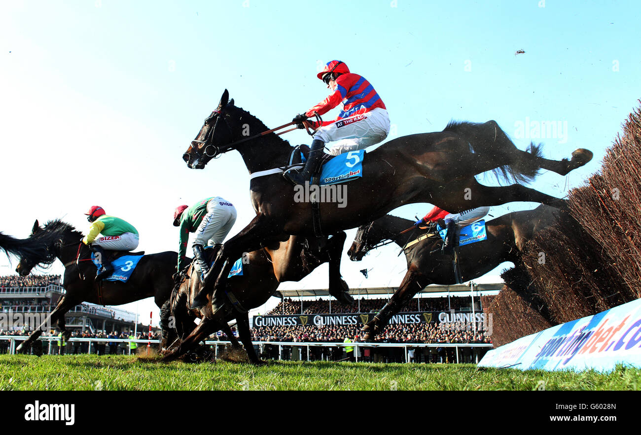 Horse Racing - 2013 Cheltenham Festival - Day Two - Cheltenham ...