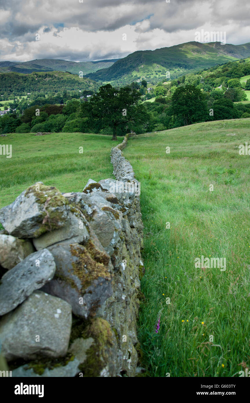 Dry stone walls in the lake district, Cumbria, England Stock Photo - Alamy