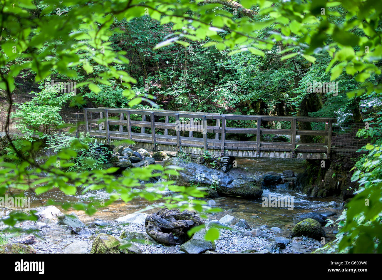 wooden bridge in a clearing over Stockghyll Stock Photo - Alamy