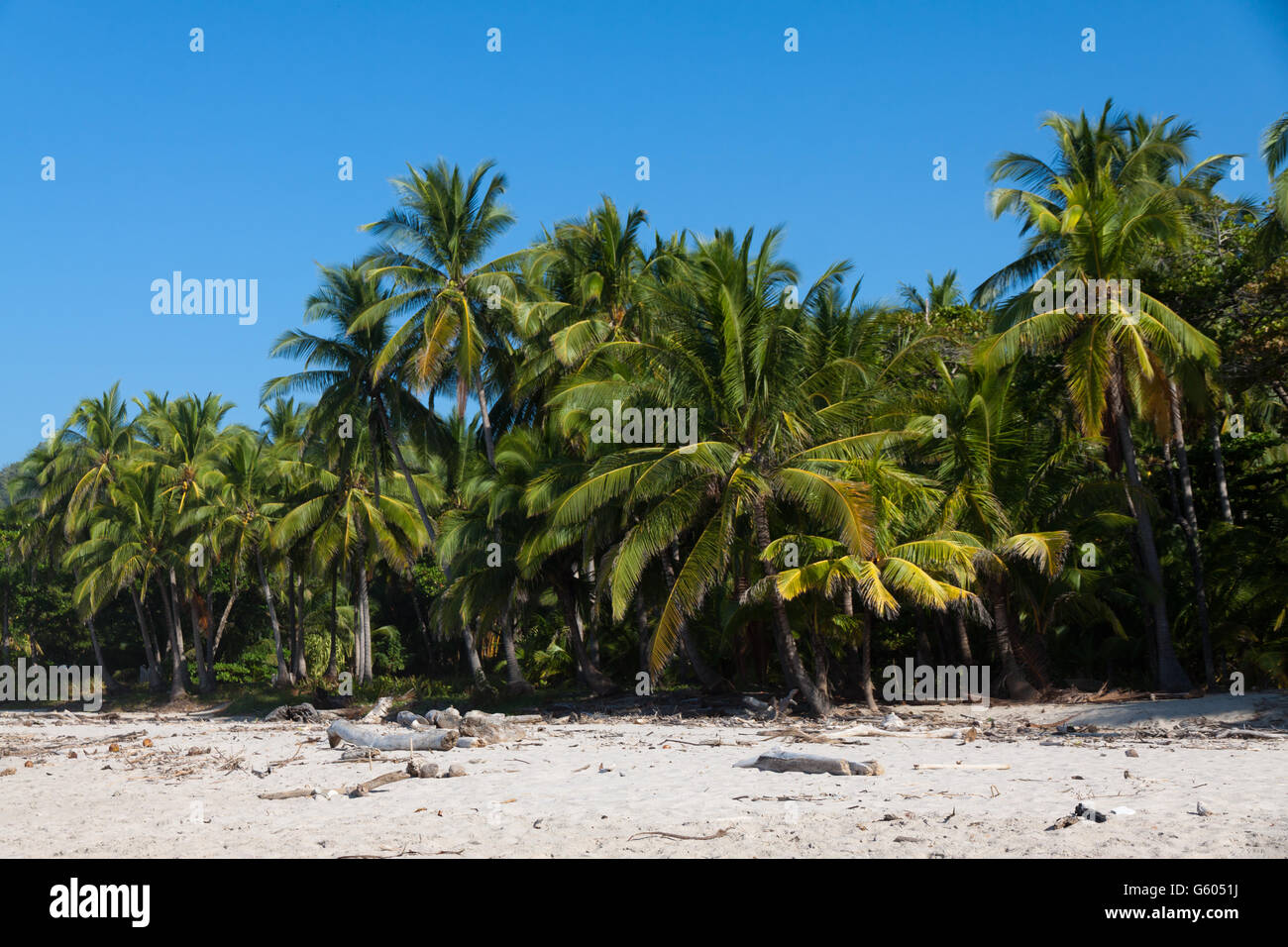 Playa cocles costa rica hi-res stock photography and images - Alamy