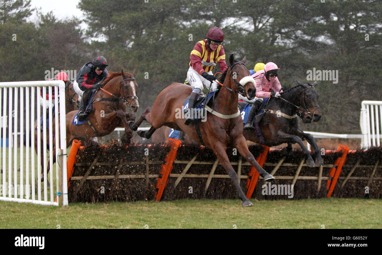 Horse Racing - March Madness - Exeter Racecourse Stock Photo - Alamy