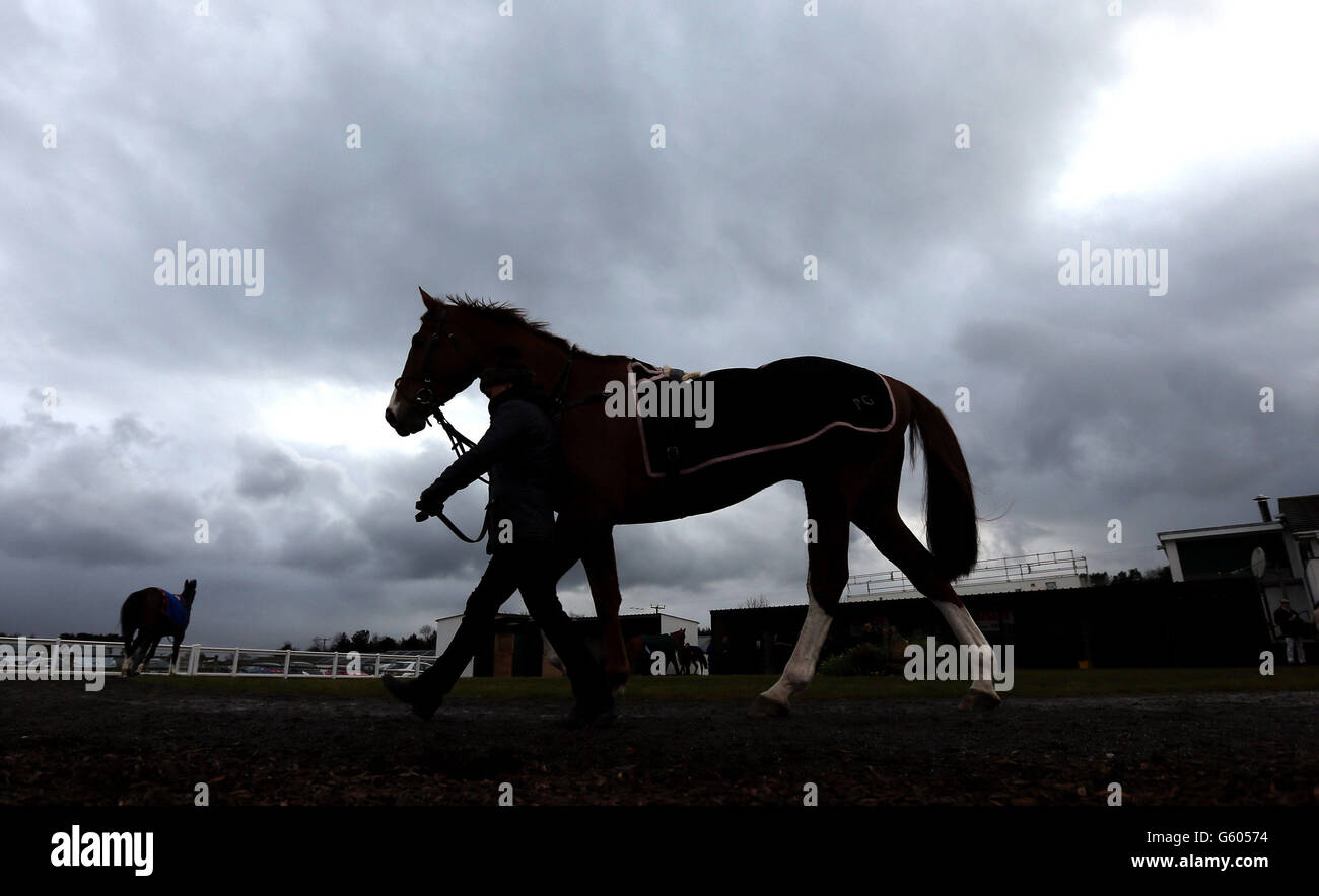 Horse Racing - March Madness - Exeter Racecourse Stock Photo - Alamy