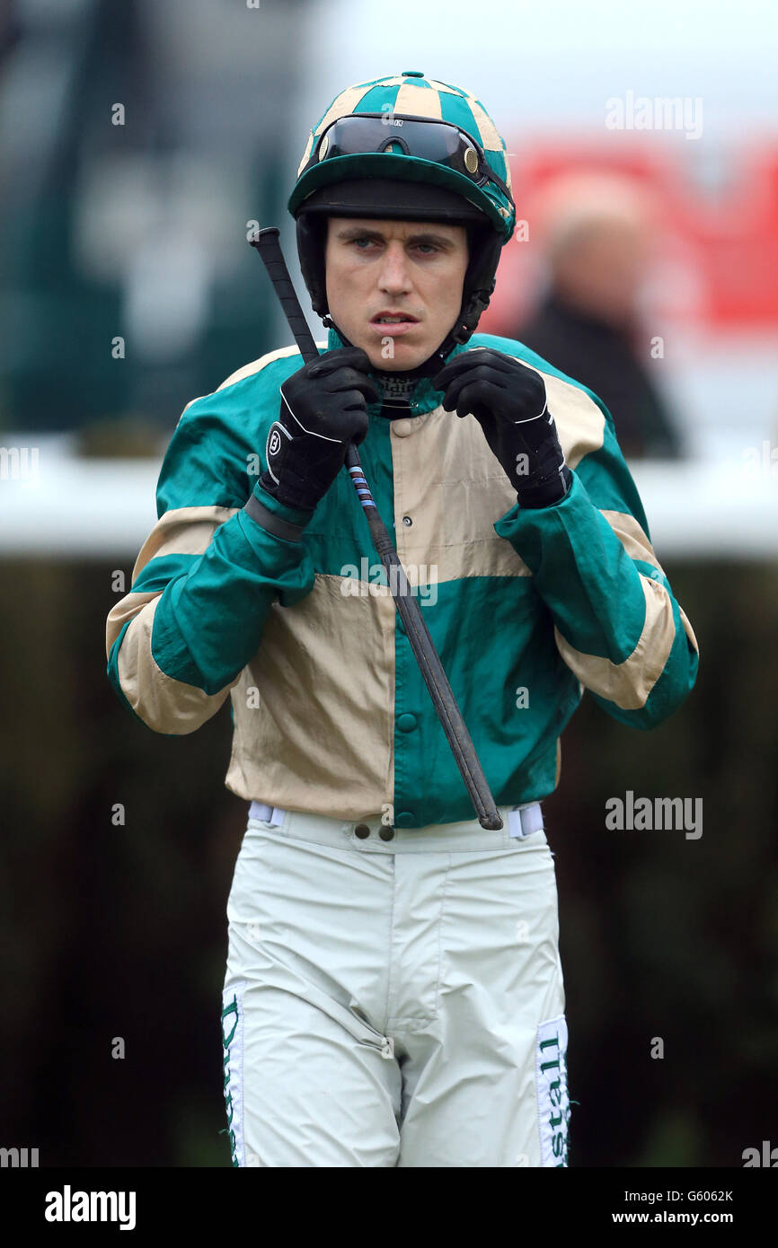 Horse Racing - Leicester Racecourse Stock Photo - Alamy