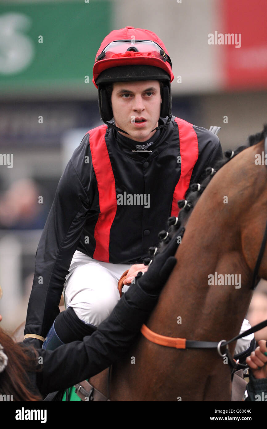 Jockey Nathan Adams on First Avenue during the Paddy Power Imperial Cup ...
