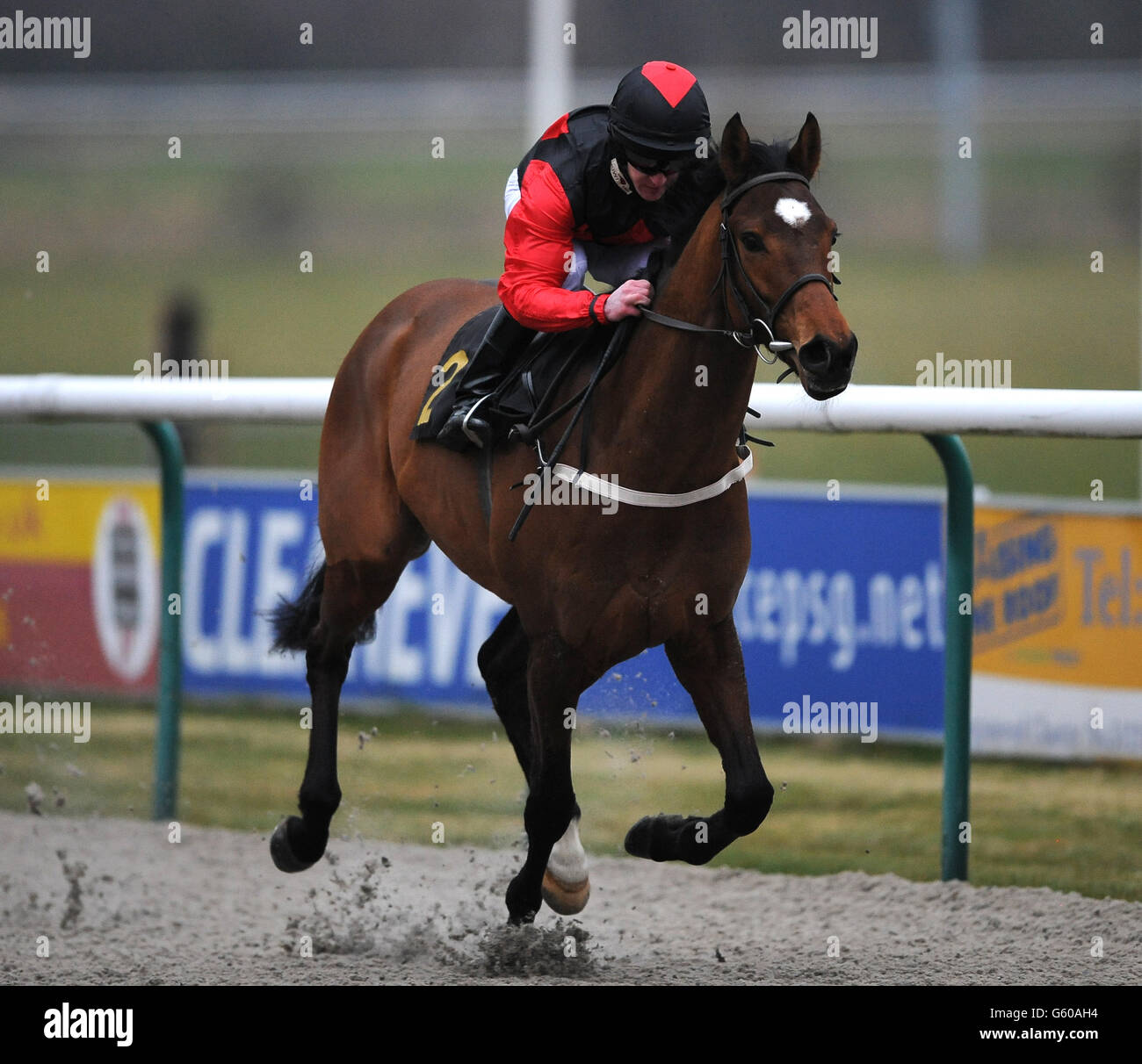 Horse Racing - Lincoln Trial Day - Wolverhampton Racecourse Stock Photo ...