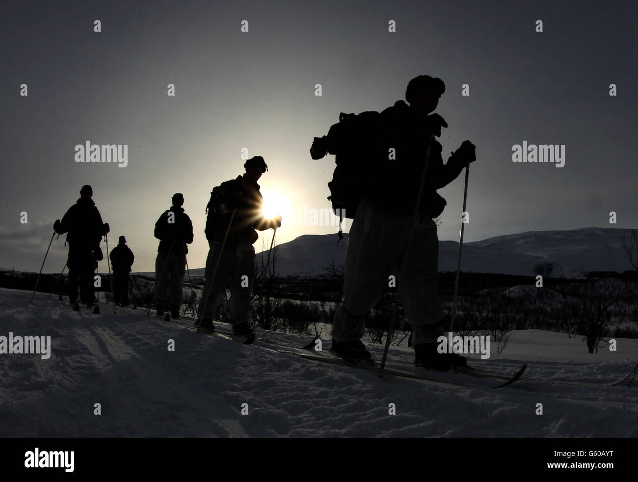 Marines ski during training hi-res stock photography and images - Alamy
