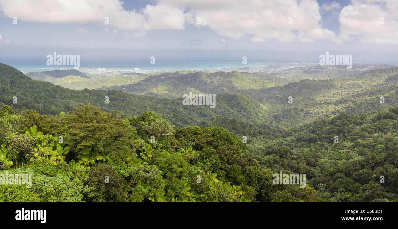 Panoramic view of El Yunque National Forest, looking north to San Juan ...