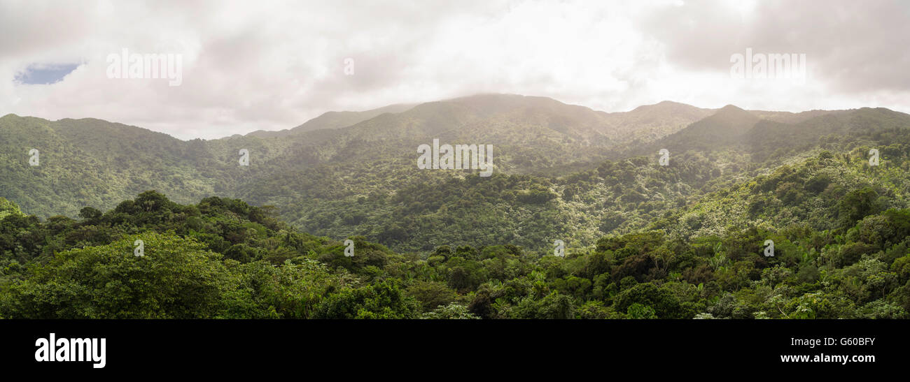 El yunque mountain puerto rico hi-res stock photography and images - Alamy