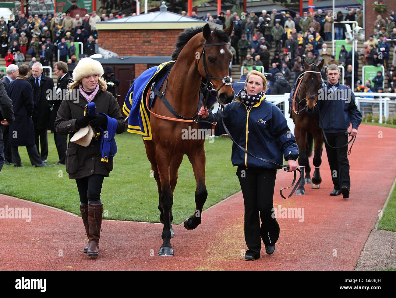 Racing horses parade ring hi-res stock photography and images - Alamy