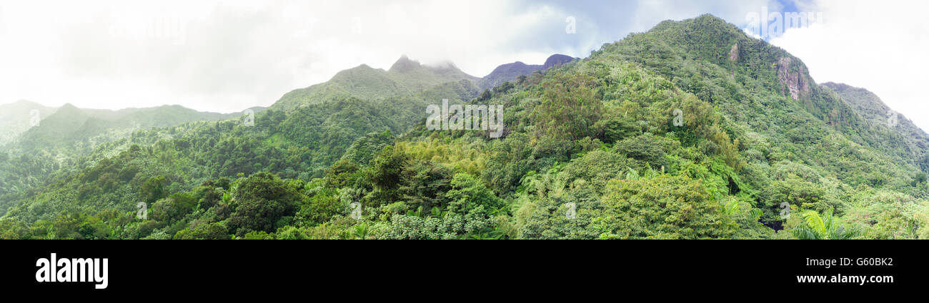 Panoramic view of El Yunque National Forest, Puerto Rico Stock Photo ...