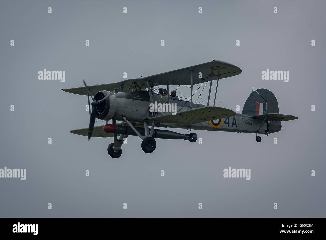 Royal Navy Swordfish biplane in flight carrying a torpedo Stock Photo ...