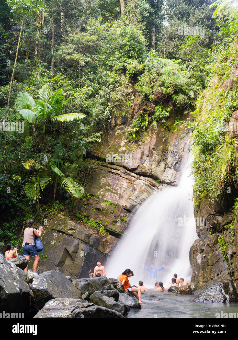 People enjoy cooling off in La Mina Falls, El Yunque Falls, Puerto RIco ...