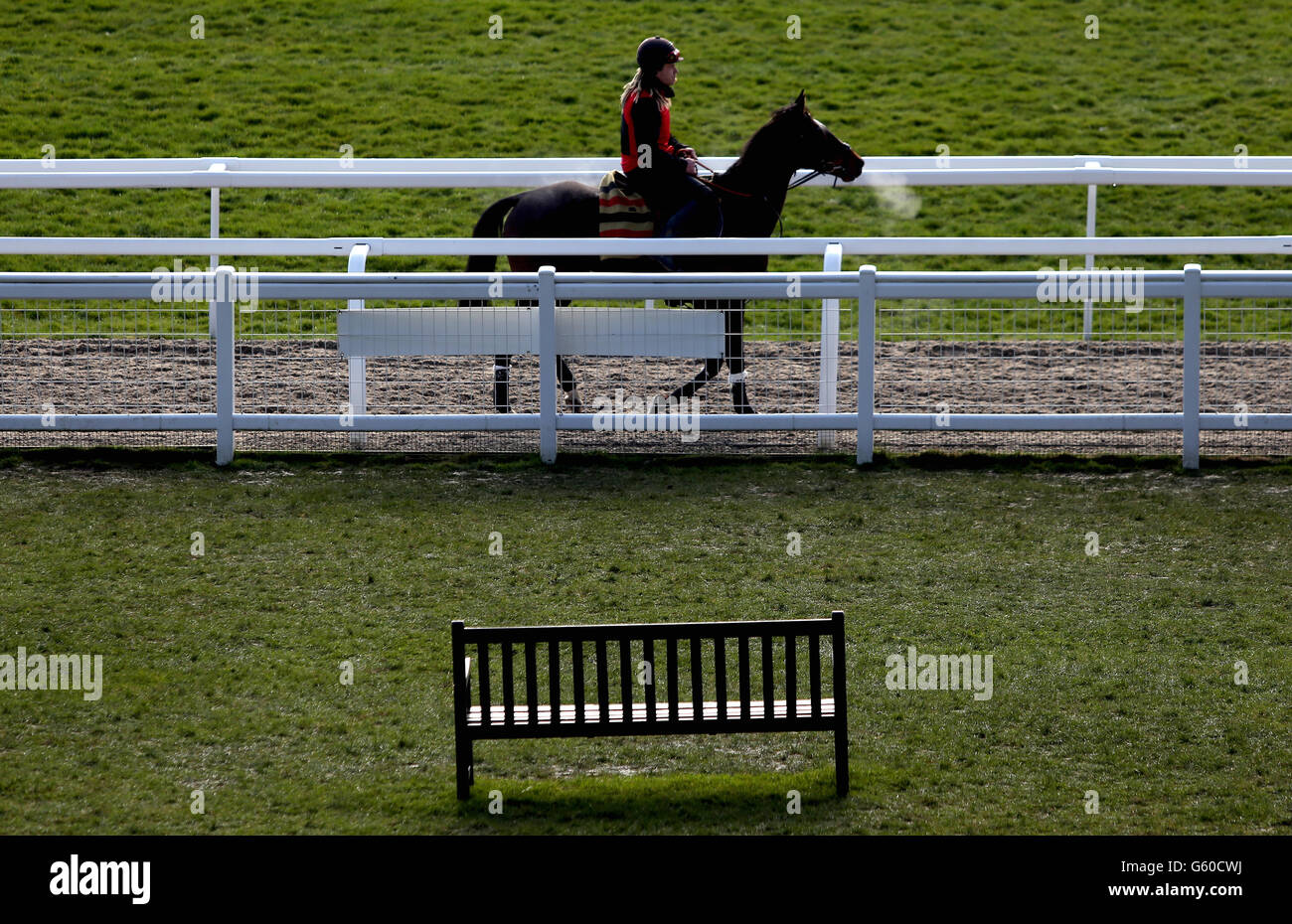 Horse and jockey hi-res stock photography and images - Alamy