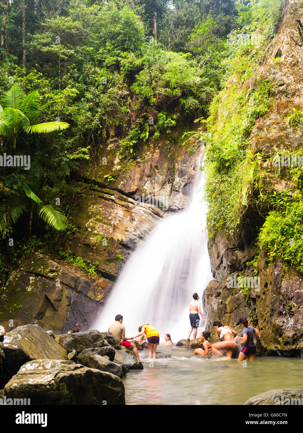 People enjoy cooling off in La Mina Falls, El Yunque Falls, Puerto RIco ...