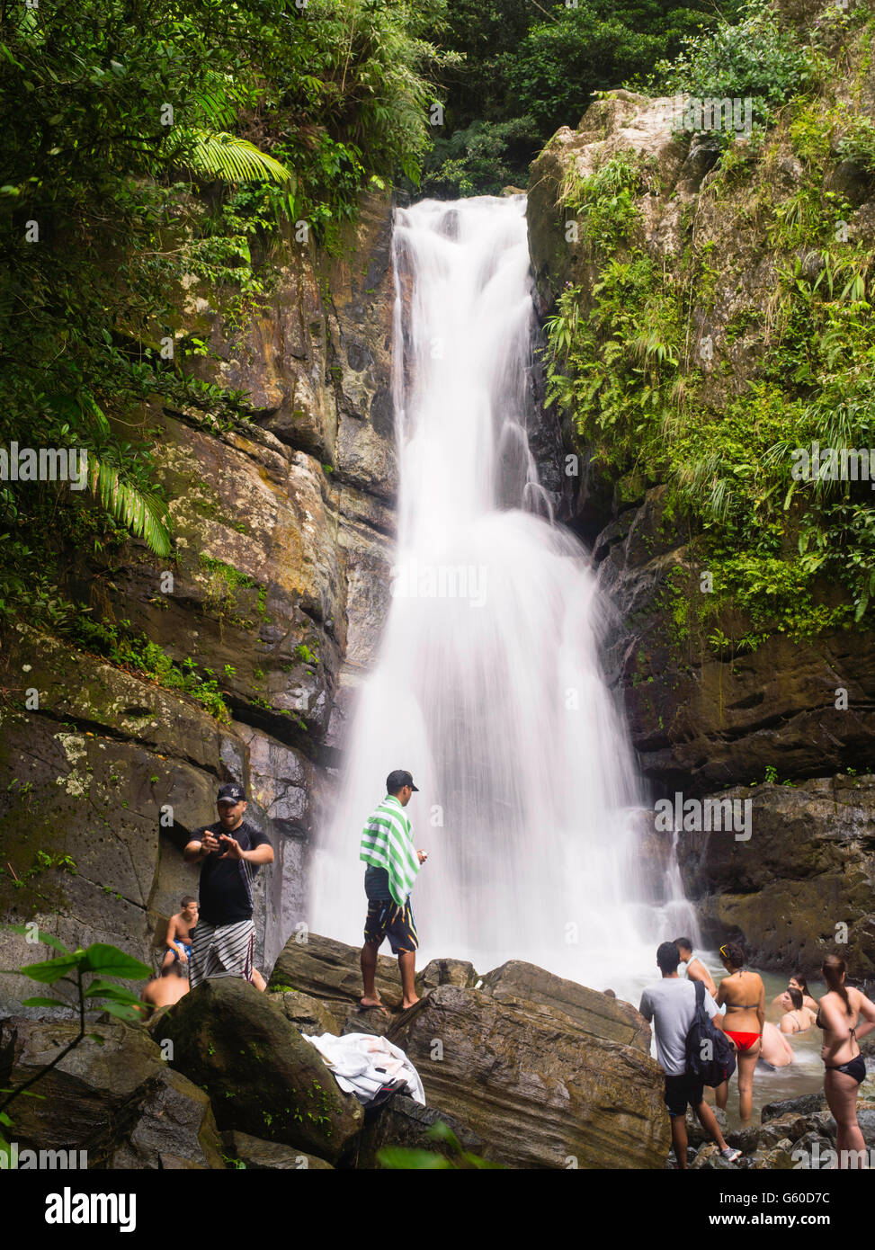 People enjoy cooling off in La Mina Falls, El Yunque Falls, Puerto RIco ...