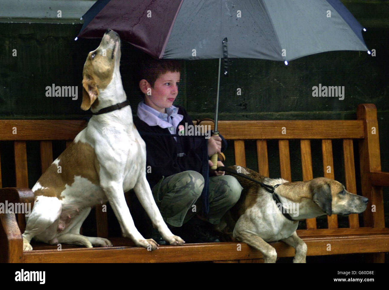 Angus adams hi-res stock photography and images - Alamy