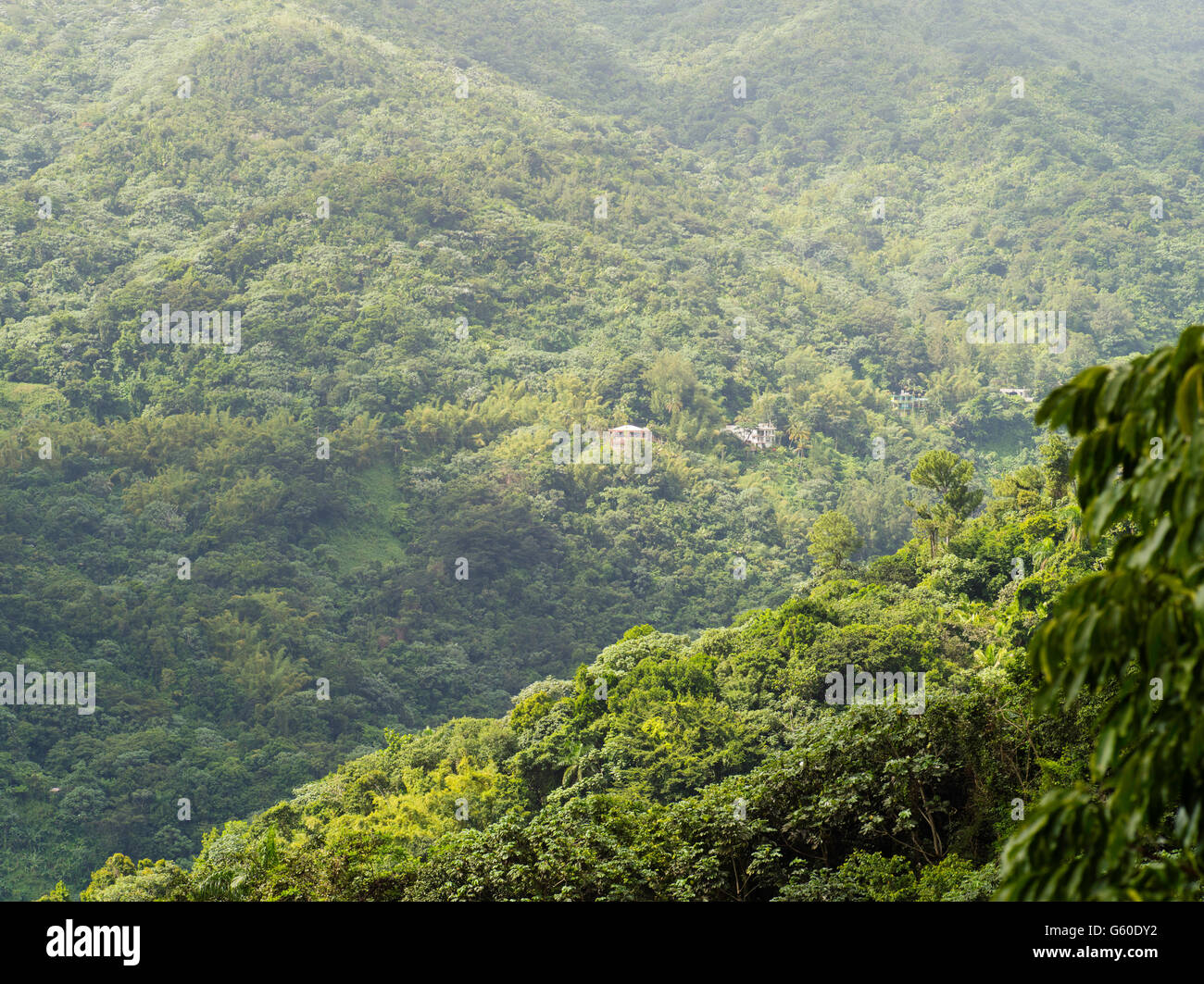 Rio el yunque national forest hi-res stock photography and images - Alamy