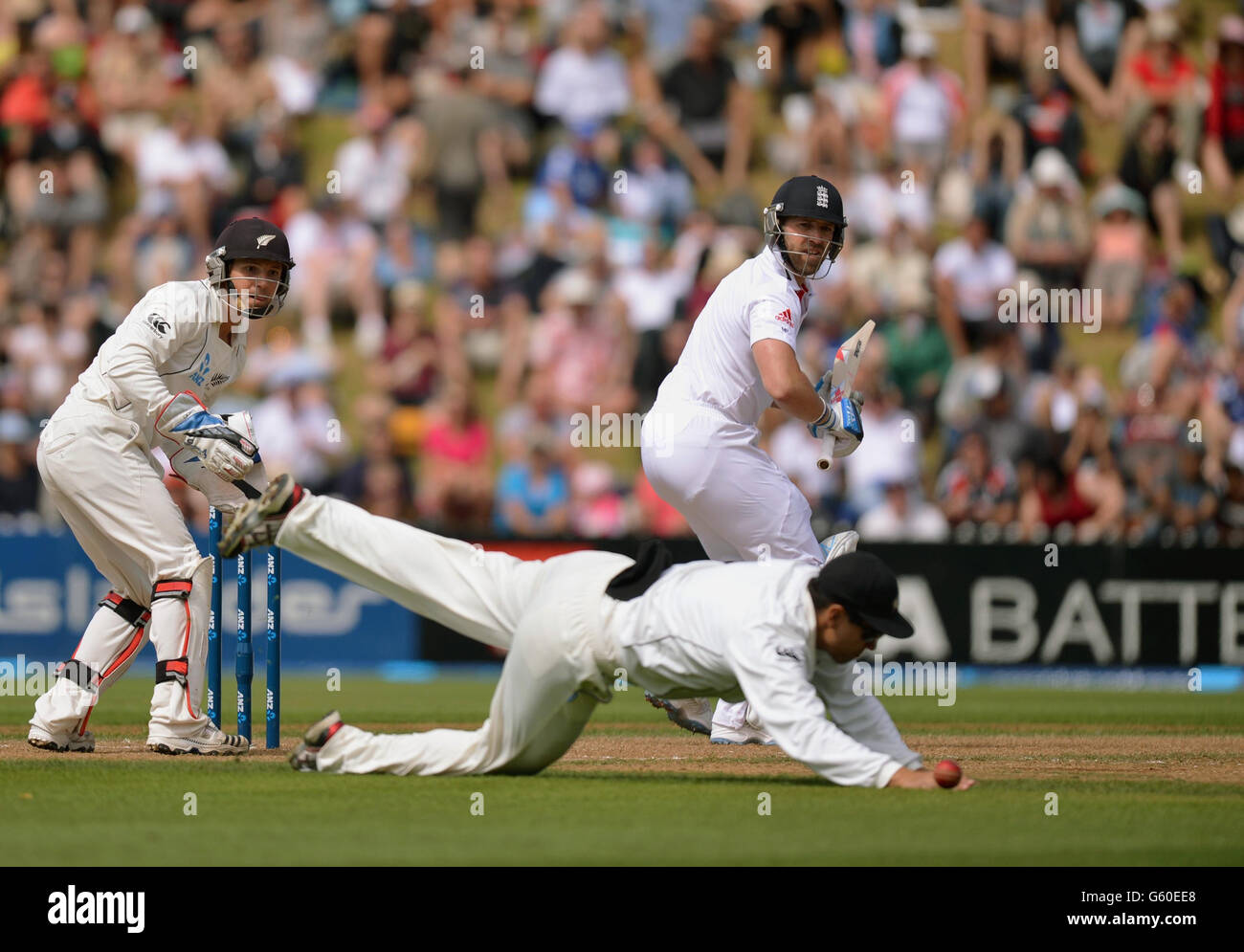 New zealands bradley john watling bats hi-res stock photography and ...