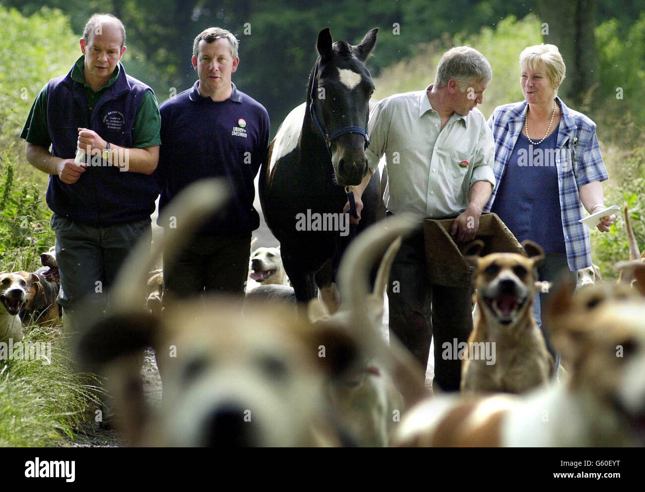 Protection of Wild Mammals Act Stock Photo - Alamy