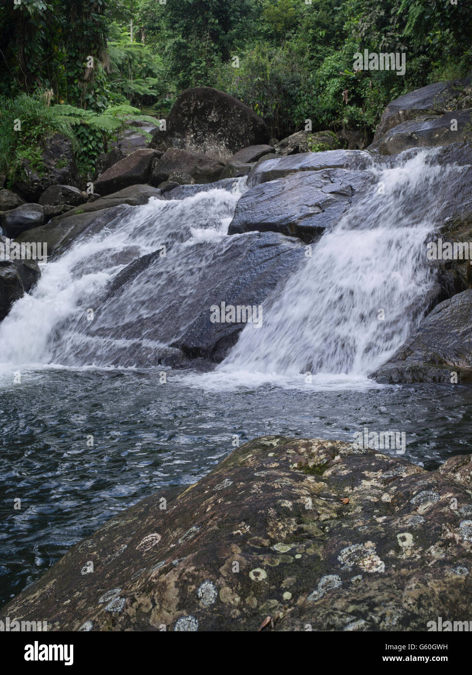 Waterfall on the Rio Cubuy, north of Naguabo, Puerto Rico, in the El ...