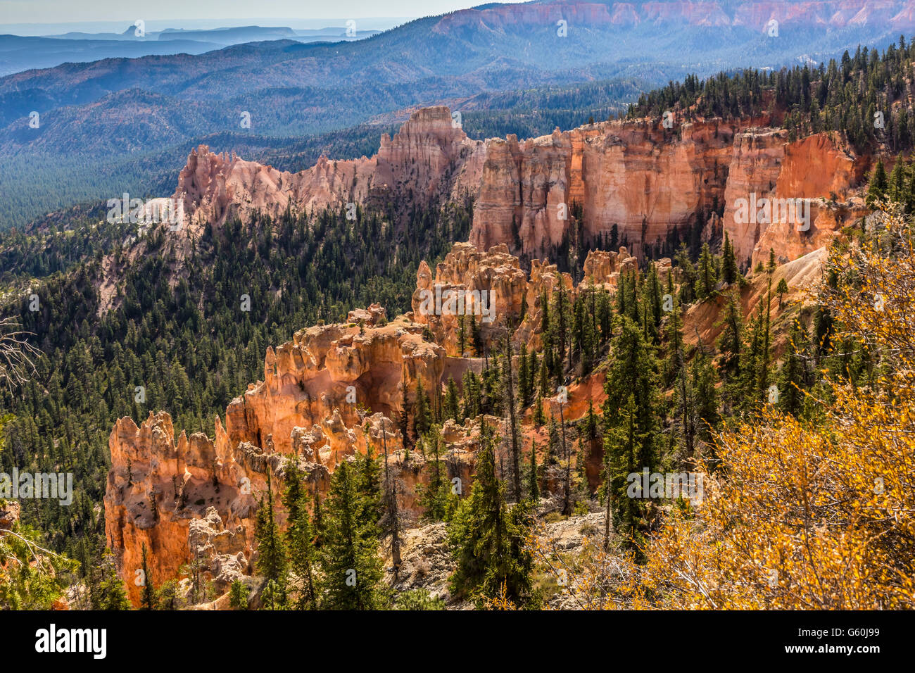 bryce canyon national park, ut us Stock Photo - Alamy