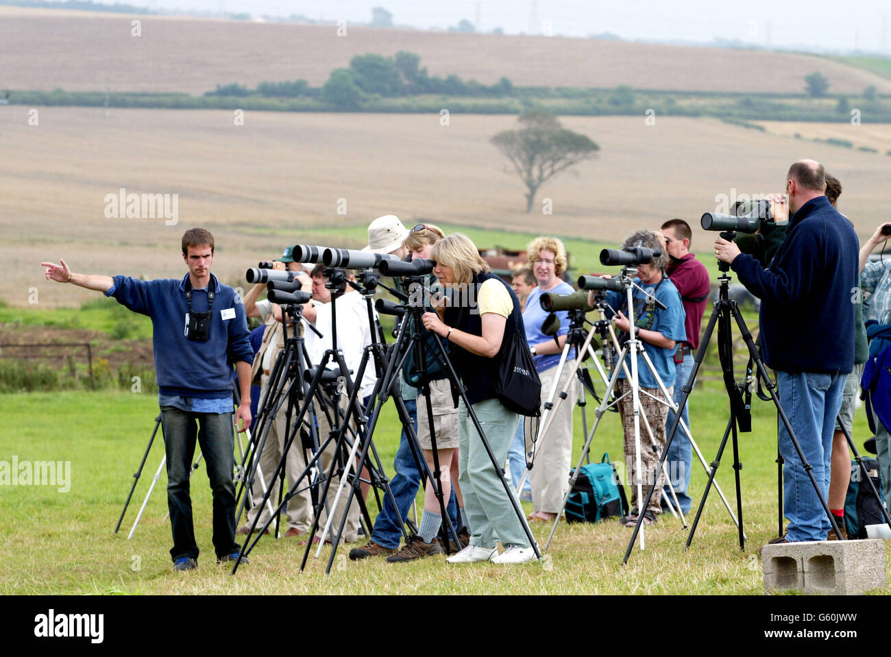 Bird watchers try to catch a glimpse of the rare Bee-eater bird at a ...