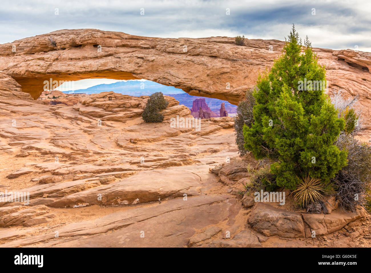 world famous mesa arch in canyonlands national park, utah us Stock ...