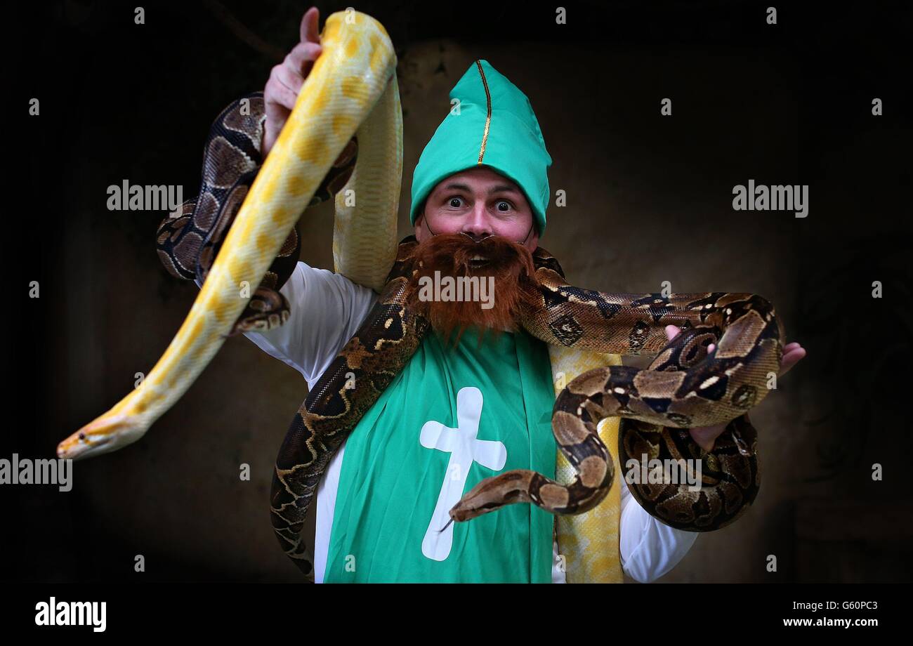 St Patrick Snakes High Resolution Stock Photography and Images - Alamy