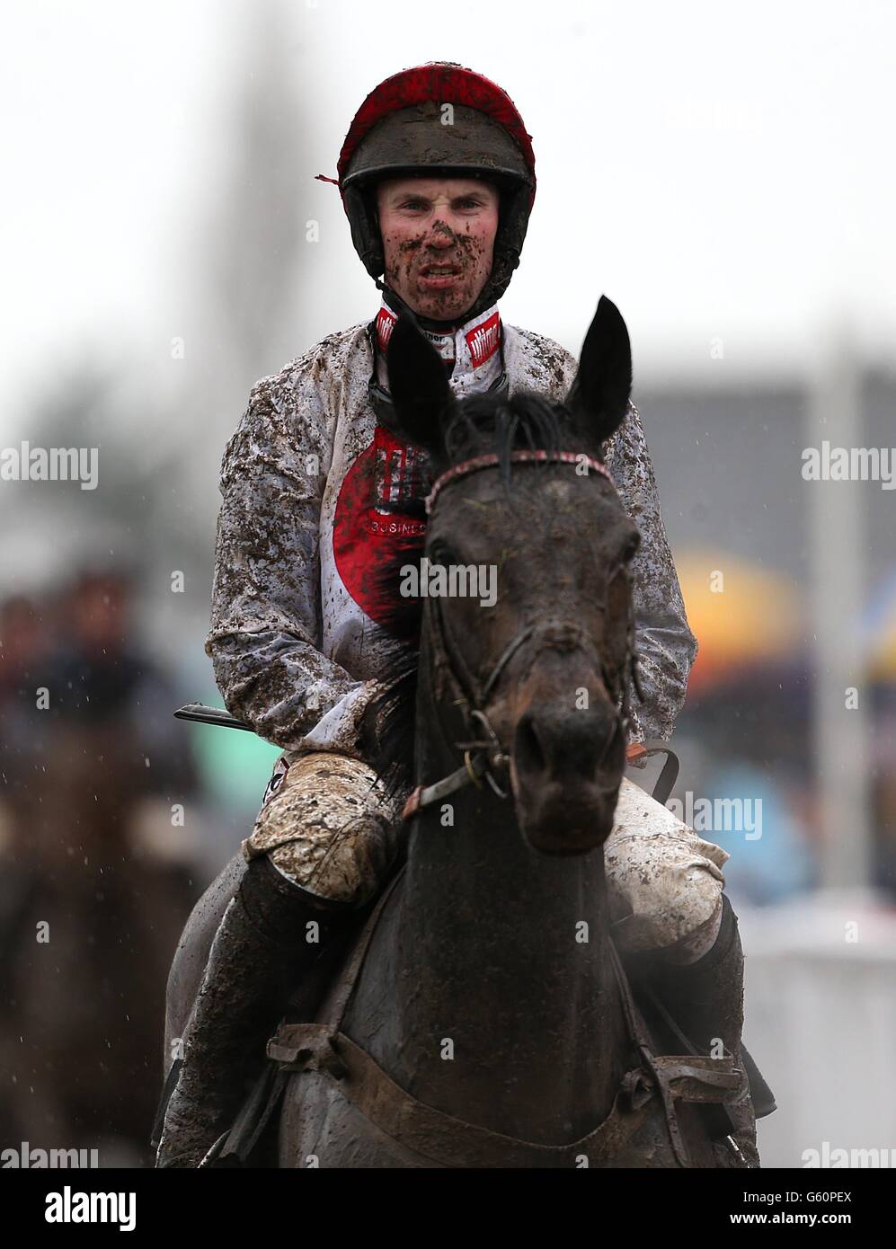 Mud covered jockey horse racing hi-res stock photography and images - Alamy