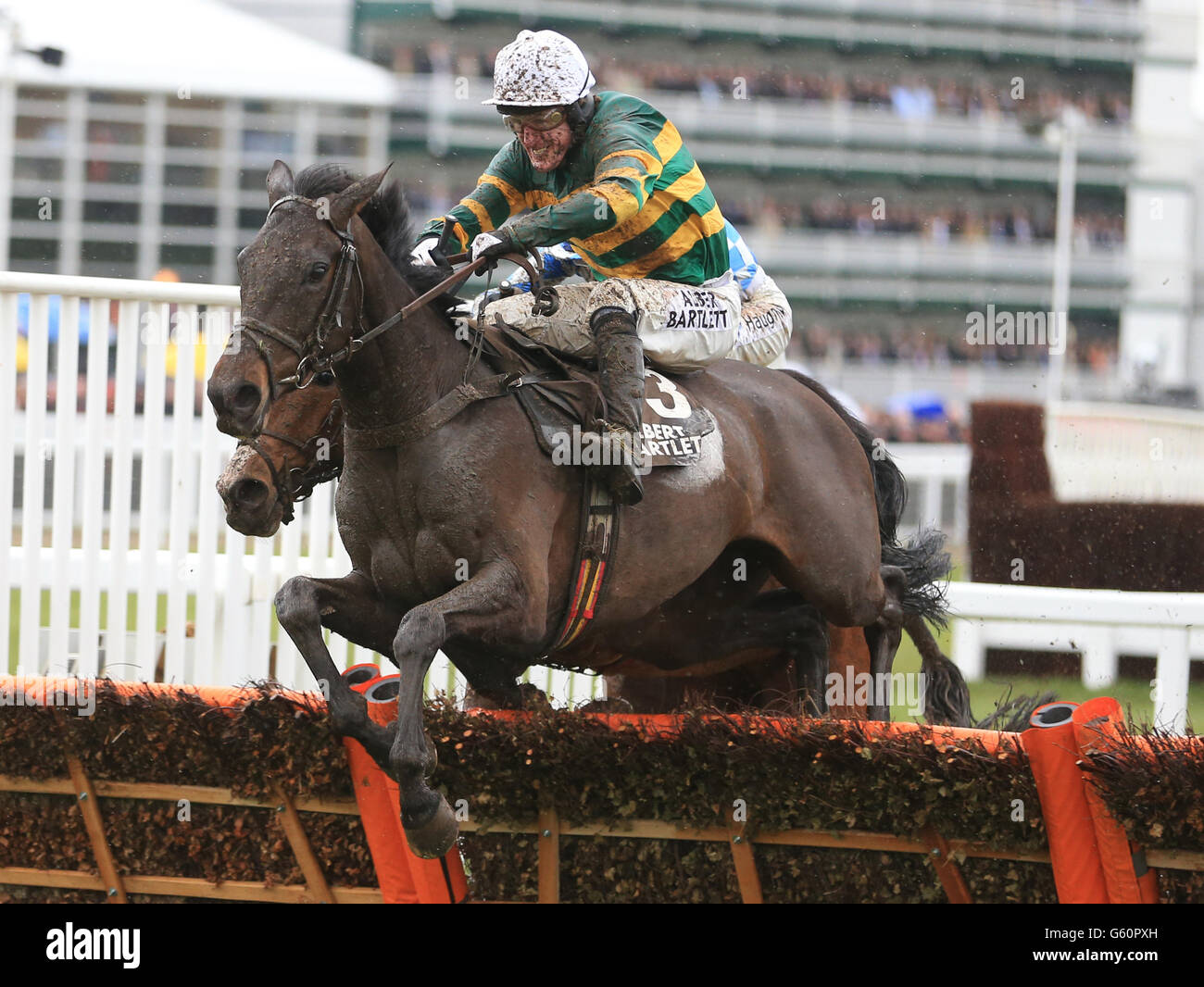 A p mccoy wins on hi-res stock photography and images - Alamy
