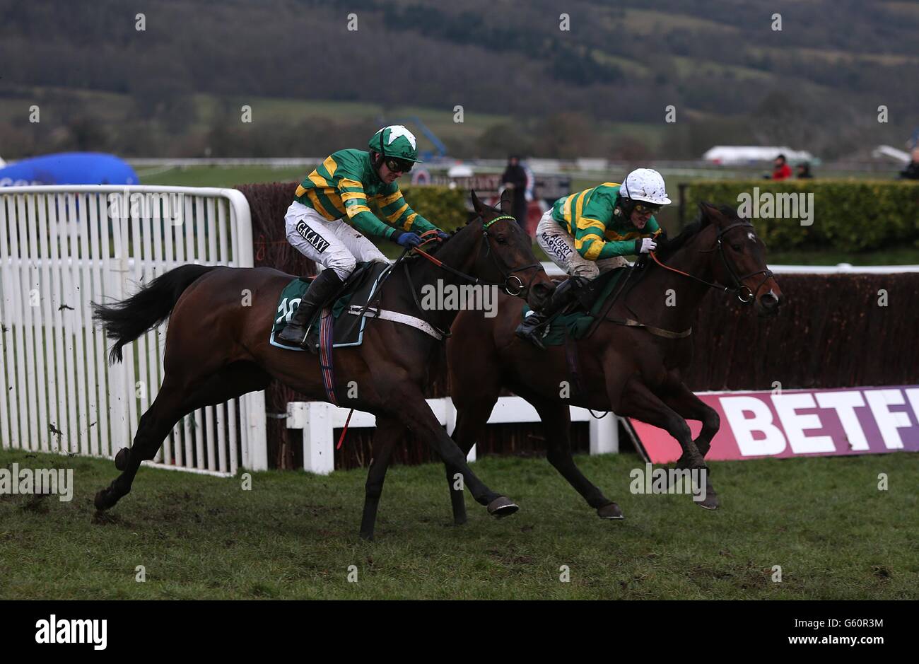 Alderwood cheltenham hi-res stock photography and images - Alamy