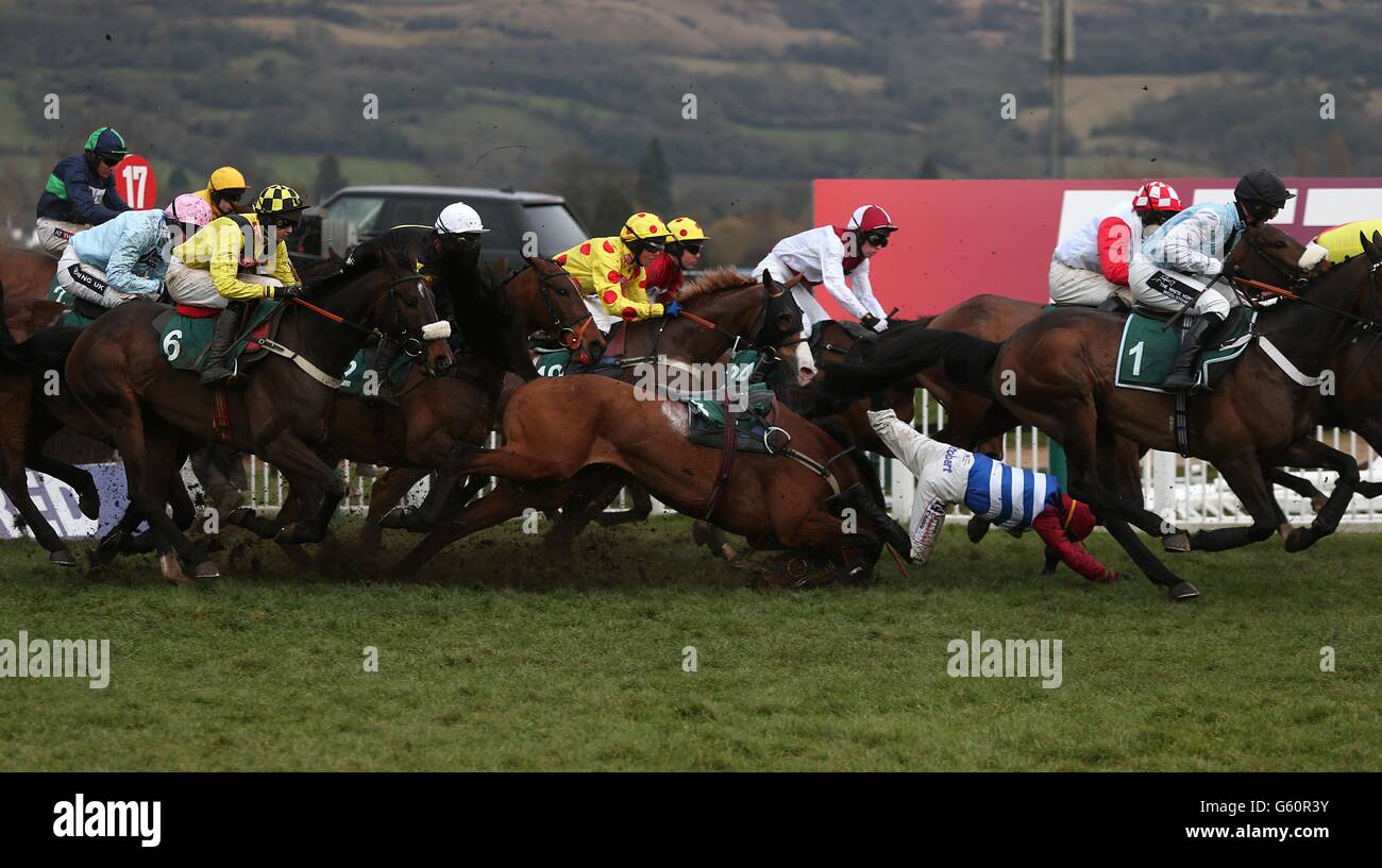 Jockey Wayne Hutchinson is unseated by Kumbeshwar in the Johnny ...