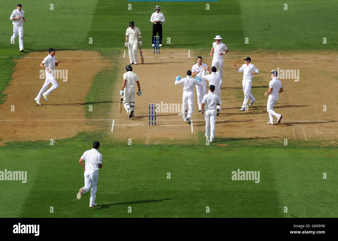 England's James Anderson celebrates taking the wicket of New Zealand's ...