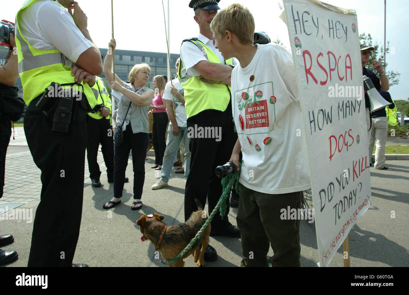 Animal blood sport banner placard dog hi-res stock photography and ...