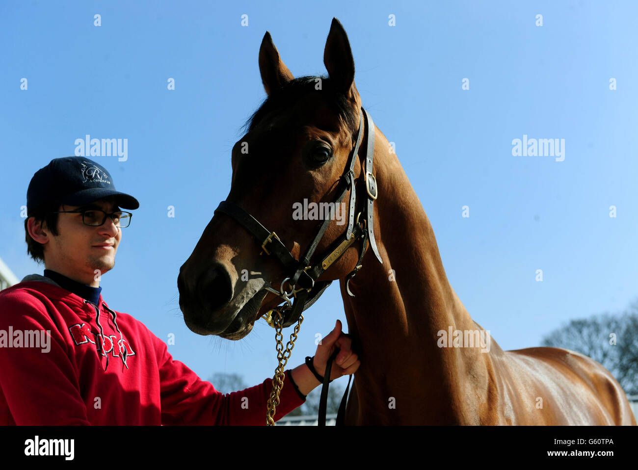 Marco botti yard visit hi-res stock photography and images - Alamy