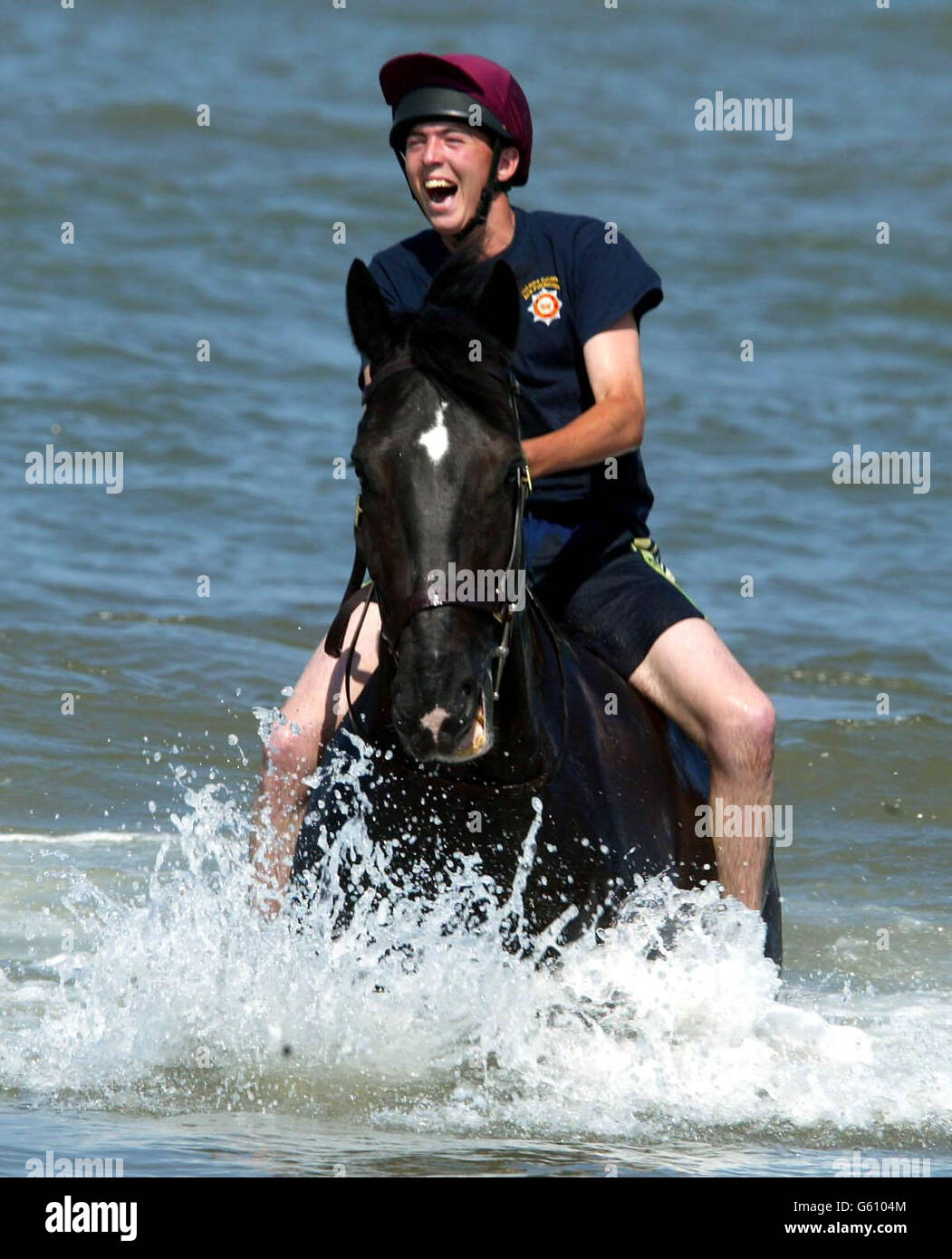 Household Cavalry Regiment Summer camp Stock Photo - Alamy
