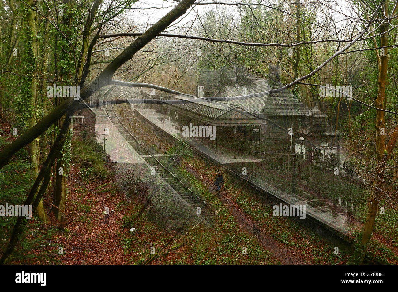 News rail beeching hi-res stock photography and images - Alamy